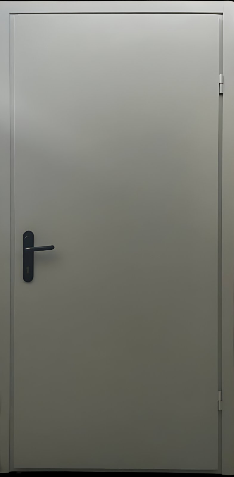 RAL-7035 Технические двери (серые)